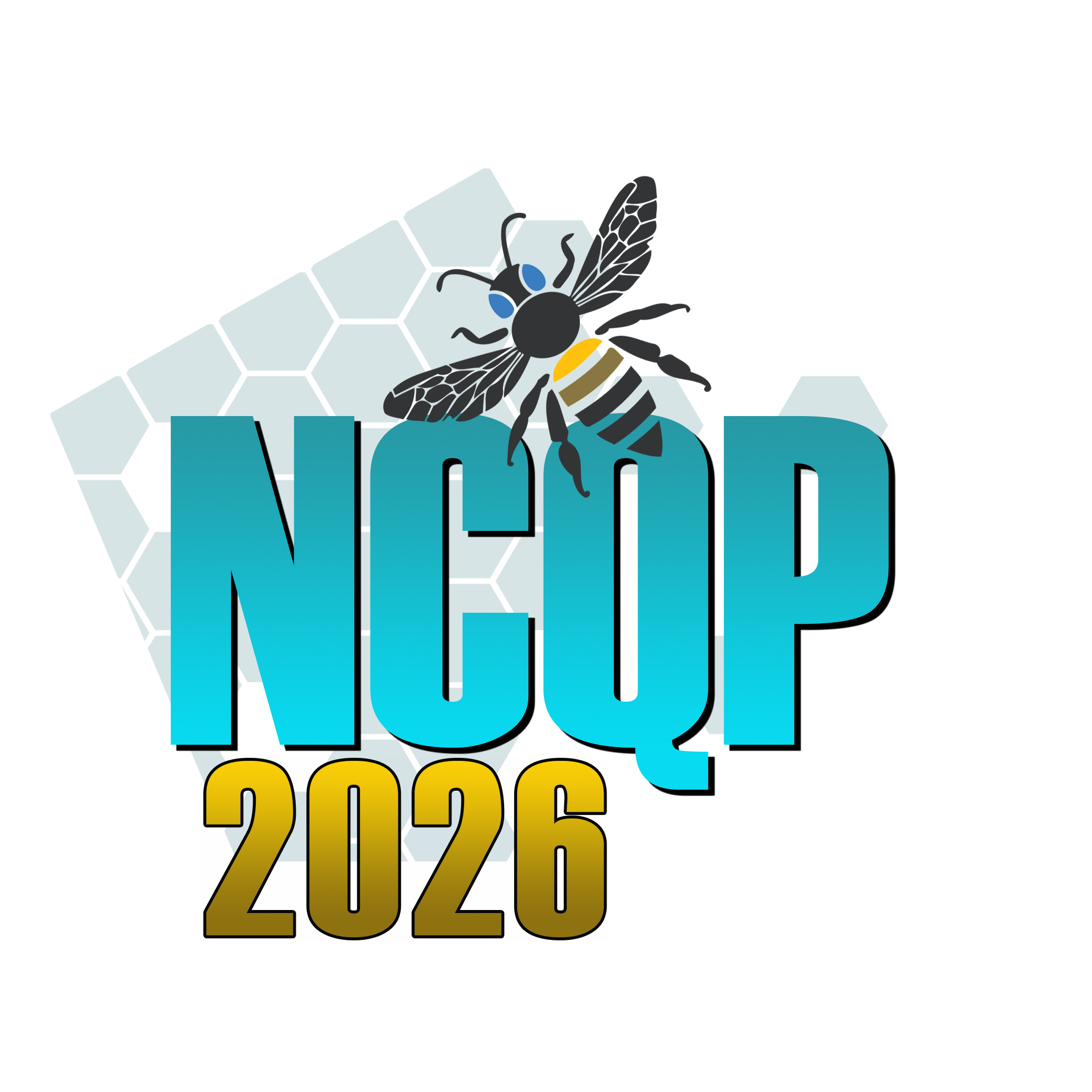 Program – ICQCC